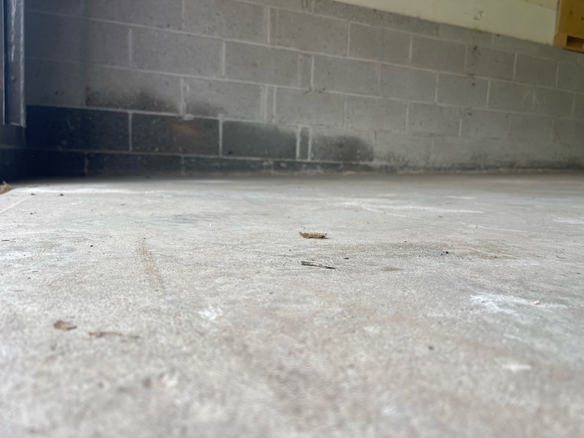 GeoSolve | Basement Waterproofing & Foundation Repair Near Me